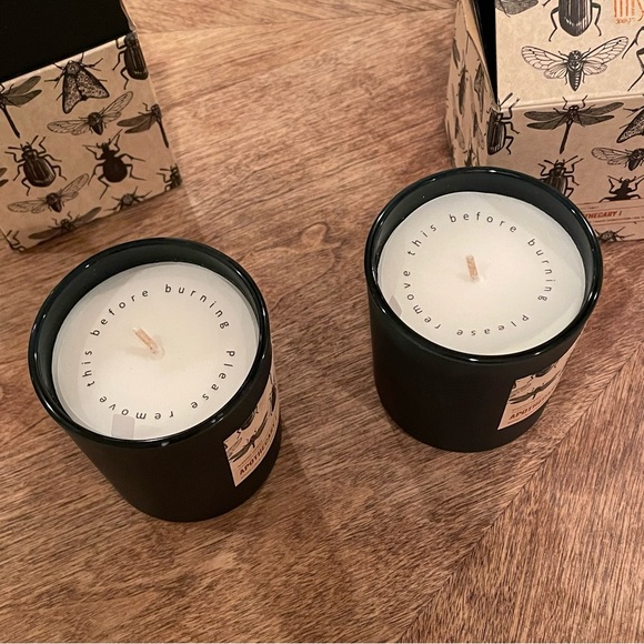 Debi Lilly | Accents | Nib Debi Lilly Entomology Boxed Apothecary ...